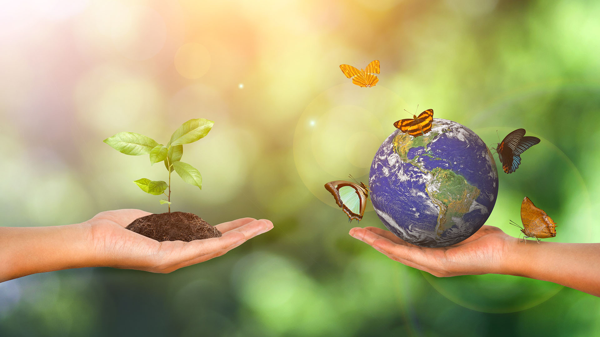 Inwit For Biodiversity Protection Inwit