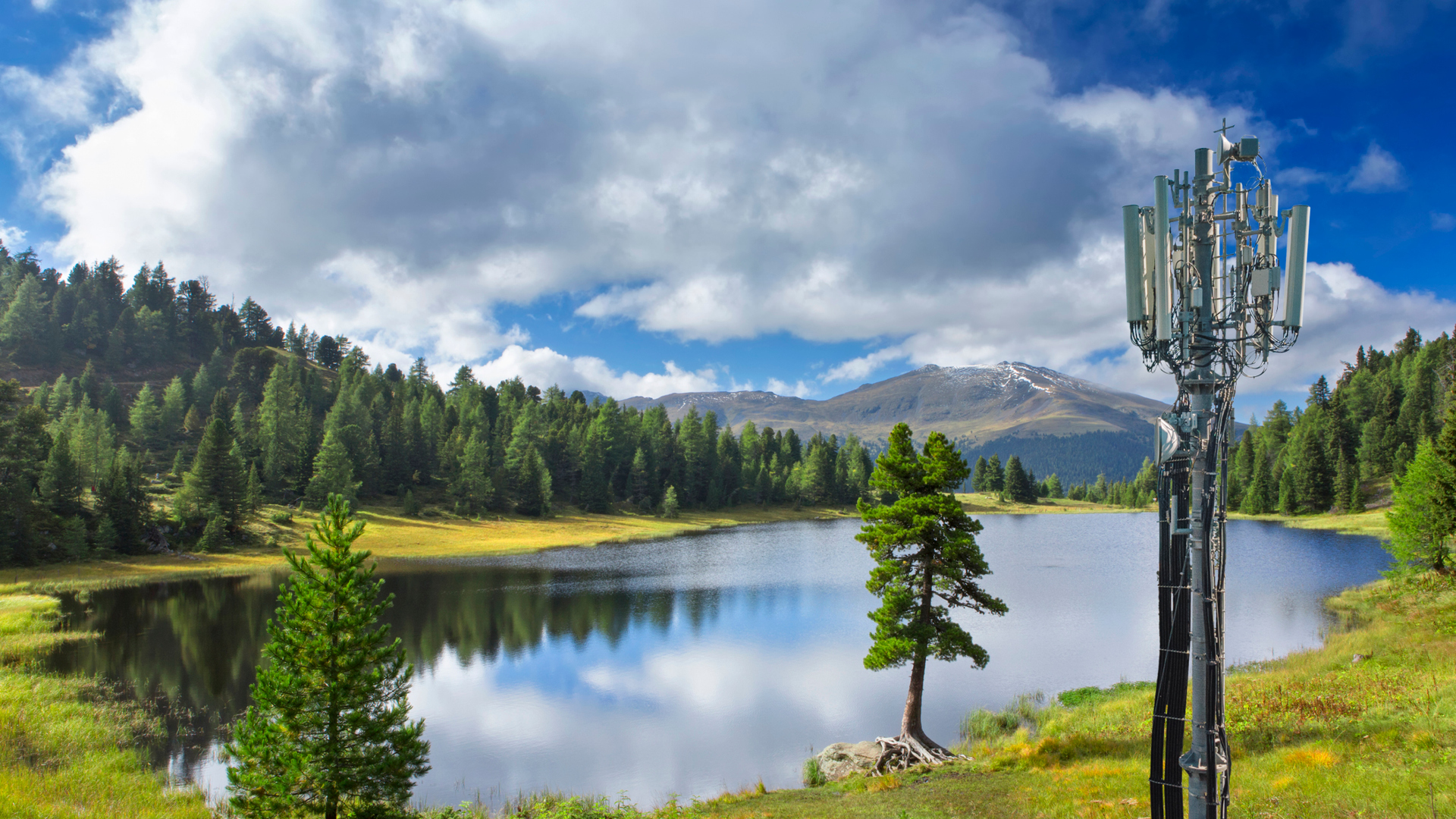 INWIT e Legambiente insieme per monitorare l'inquinamento atmosferico ...