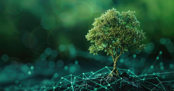 INWIT confirmed as one of the most sustainable companies in Italy – INWIT